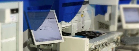 Growth & Projects | 2020