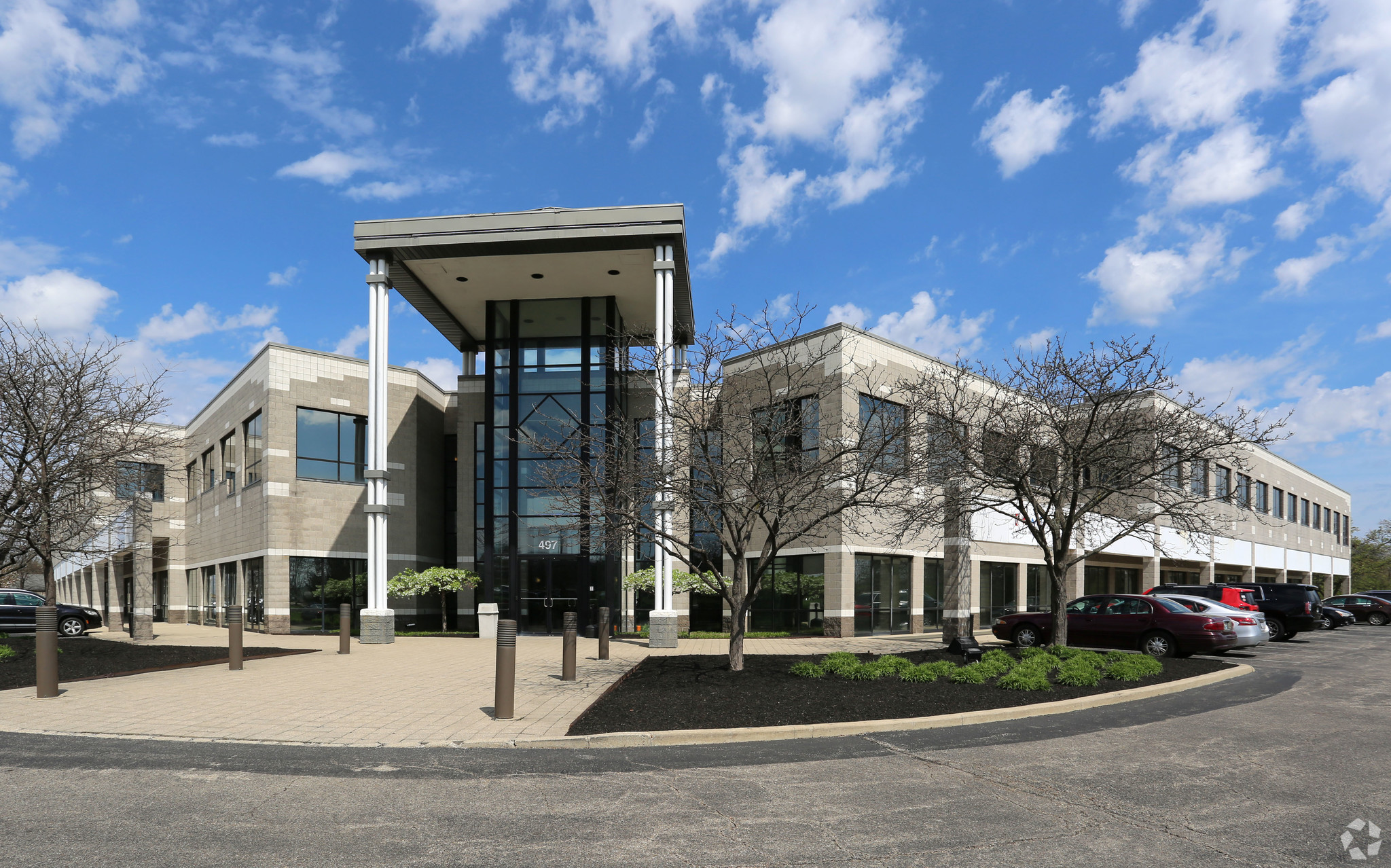 Growth & Projects | 2019